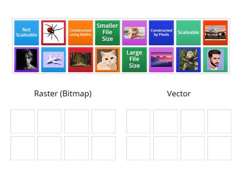 raster bitmap vs vector group sort