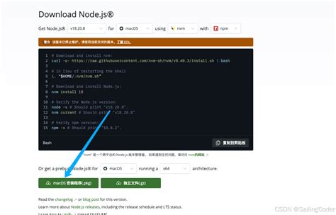 新人最容易踩坑的 Nodejs 环境配置指南(干净、稳定、不乱套)nodejs哪个版本稳定 Csdn博客 新人最容易踩坑的 Nodejs 环境配置指南(干净、稳定、不乱套)nodejs哪个版本稳定 Csdn博客