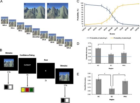 Decoding Scene Representations In The Medial Temporal Lobe Bonnici Et Download Scientific