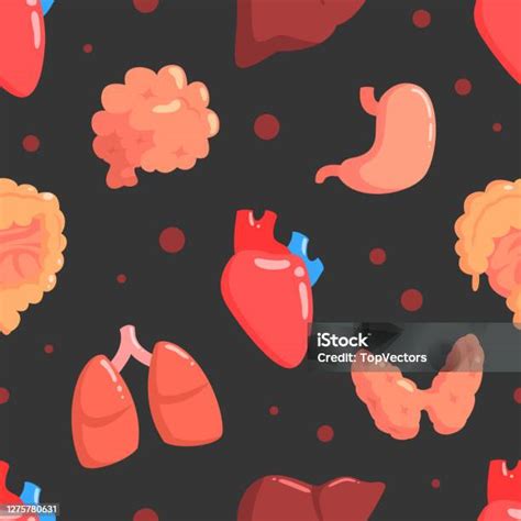 인간 장기 원활한 패턴 의료 과학 혁신 생명 공학 기술 배경 배경 화면 포장 섬유 디자인 벡터 일러스트 내부에 대한 스톡 벡터 아트 및 기타 이미지 Istock