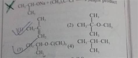 CCCCC C C C C C C OC C C C COC C C C CC C C Filo