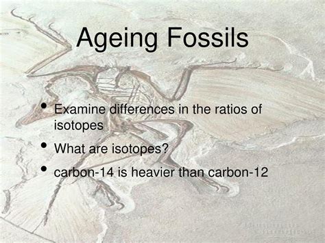 5 Evolution Material Is Taken From Ib Biology 3rd Edition Ppt Download