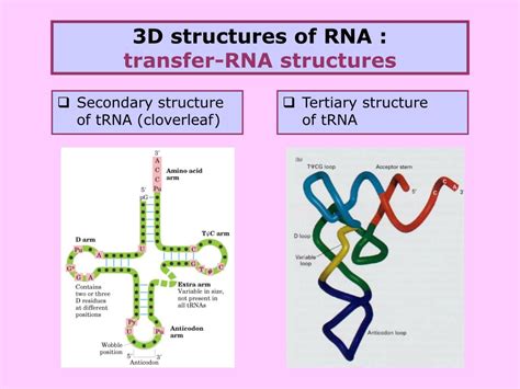 Ppt Dna Protein Structure Function Analysis And Prediction Powerpoint
