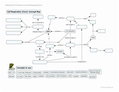 Cell Concept Map Worksheet Answers Luxury Making Atp Concept Mapping