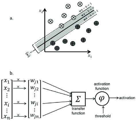 A A Schematic Diagram Of The Support Vector Machine Svm Classifier