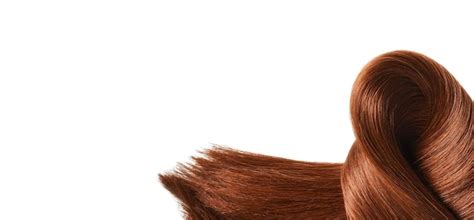 Premium Photo A Red Tail Of A Squirrel