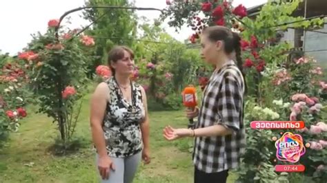 ვარდების ბაღი ველისციხეში ნინო ზღაპარაძე დილა მშვიდობისა საქართველო 2023 06 14 Youtube