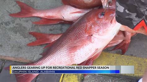 Anglers Gear Up For Recreational Red Snapper Season In Alabama Youtube