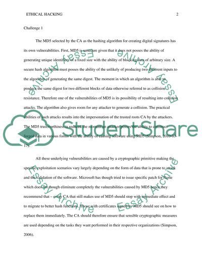 Ethical Hacking In The Digital World Research Paper Example Topics And Well Written Essays