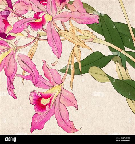 Digital Floral Design Featuring A Lively Color Palette On Textured