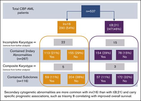 Secondary Cytogenetic Abnormalities In Core Binding Factor Aml