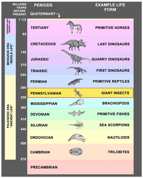Prehistoric Time Line Prehistoric Timeline Eyza