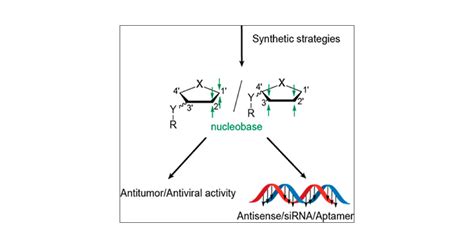 Pair Up The Nucleotide Bases With Their Complementary Partners