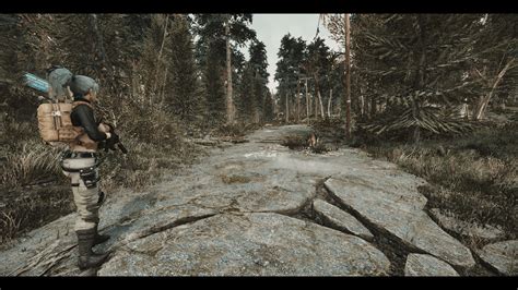 Vulkan Memory Crash And Play Character Crash Rfallout4mods