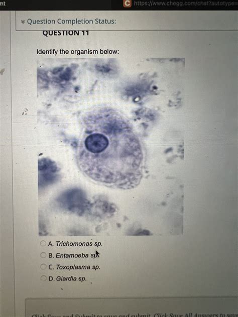 solved question completion status question 11identify the