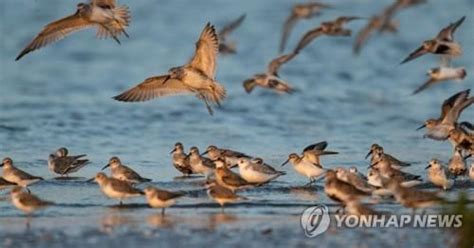 내일 생물다양성 청소년 한마당녹색기자단 등 306명 수료