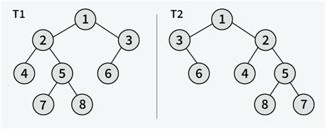 Tree Isomorphism Problem GeeksforGeeks