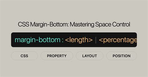 CSS Margin Bottom Mastering Space Control