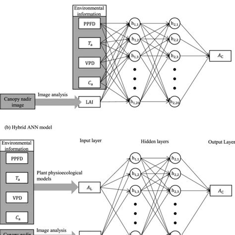 Schematics Of The Two Artificial Neural Network Ann Models For Download Scientific Diagram