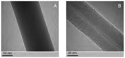 Structure And Properties Of Slow Resorbing Nanofibers Obtained By Co