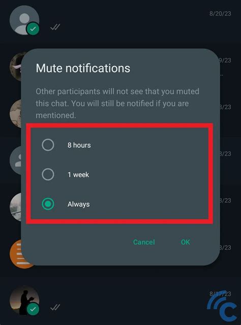 How To Disable WhatsApp Calls