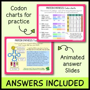 Protein Synthesis Google Slides Emmatheteachie