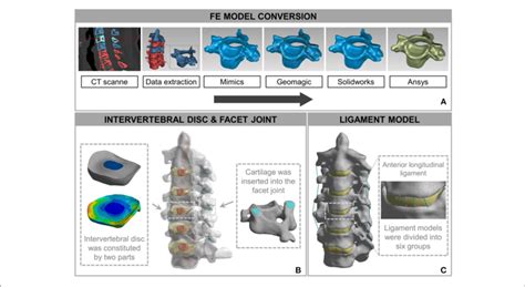 Development And Validation Of Intact Finite Element Fe Cervical