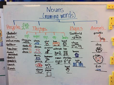 Tree Map Thinking Map For Nouns In Kindergarten Thinking Maps Thinking Map Writing Anchor Tree Map Thinking Map For Nouns In Kindergarten Thinking Maps Thinking Map Writing Anchor