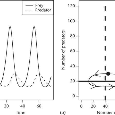 A The Standard Lotka Volterra Predator Prey Model Results In