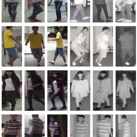 Examples Of Images To Be Processed For Cross Modal Pedestrian