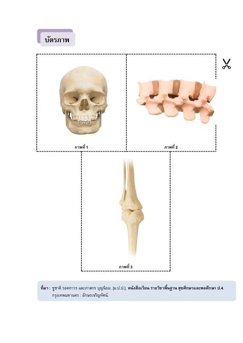แผนการจัดการเรียนรู้ วิชาสุขศึกษา ป 4 ภาคเรียนที่ 1 A Maynoy หน้าหนังสือ 44 พลิก Pdf
