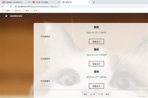 实现分页查询分页查询如何实现 Csdn博客