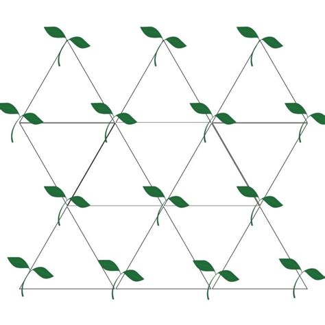 How To Use Triangular Plant Spacing In A Garden Bed Salt In My Coffee