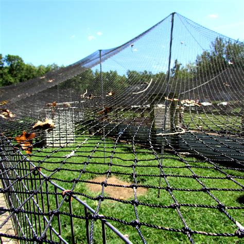25ft X 25ft Heavy Knotted Poultry Netting 1 Mesh Your One Stop