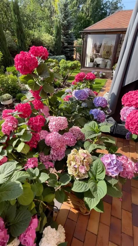 Garden Design Garden Desiign • Instagram Photos And Videos