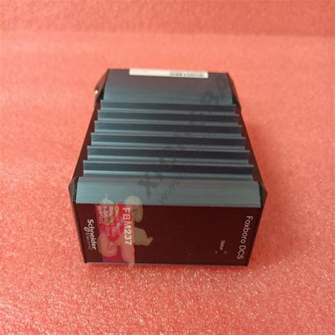 FBM RH XS FOXBORO Channel Isolated Output Interface Module FOXBORO Xiamen Xiongba E