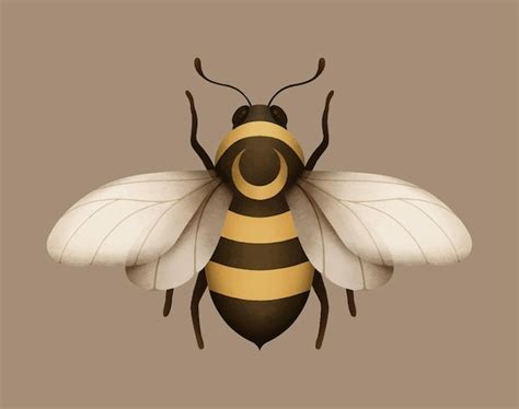 Aylana Setei Freepik