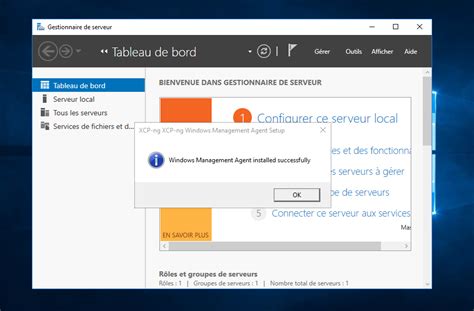 XCP Ng Windows PV Drivers XCP Ng And XO Forum