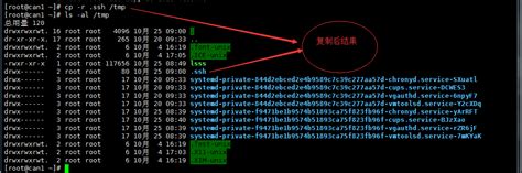 命令显示所有本地定义变量语法 echo Linux命令大全 手册