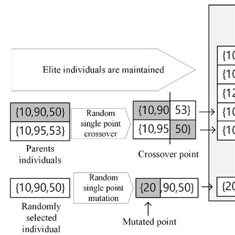 Crossover And Mutation Operation Process Download Scientific Diagram
