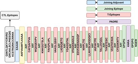 Frontiers Genomic Annotation For Vaccine Target Identification And