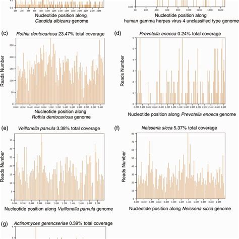 Pathogenic Microorganism Dna Rna High Throughput Genetic Sequencing Download Scientific Diagram