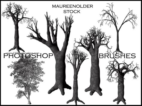 Trees Download Brushes Free 123Freebrushes