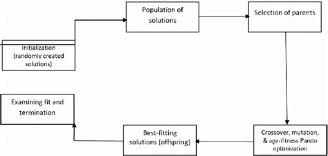 Schematic Representation Of Ea Based Symbolic Regression As Applied In Download Scientific