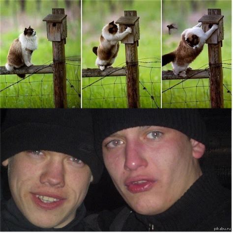 Неудачник Пикабу