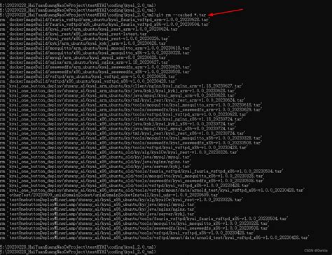 Gitignore文件使用方法（gitignore教程）（git Status Ignored）（git Check Ignore V