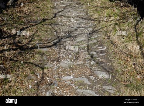 Texture Of The Dirt Path Stock Photo Alamy