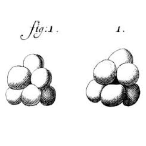 Transcriptomics In Yeast Kaggle