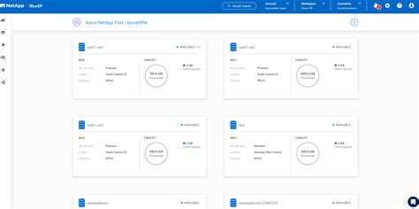 Tr 4977 Oracle Database Backup Restore And Clone With Snapcenter