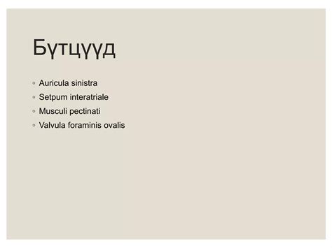 Зүрхний анатоми ба физиологи Pptx